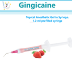 Gingicaine Topical Anesthetic Gel in Syringe. 1.2 ml prefilled syringe ...