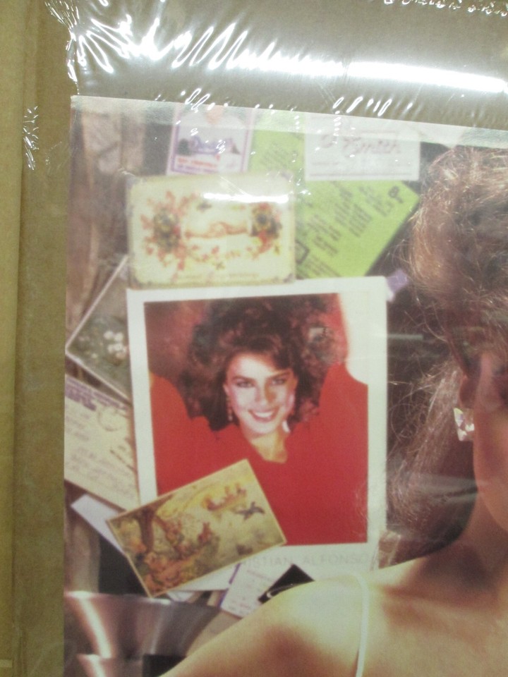 Vintage Kristian 1984 Alfonso original hot girl poster girl 19386 | eBay