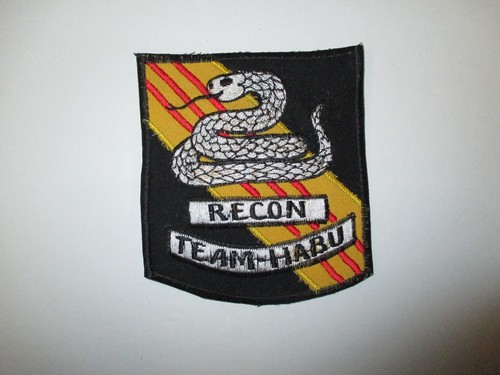 b5886 US Army Vietnam Special Forces SF CCN Recon Team RT Habu shield ...