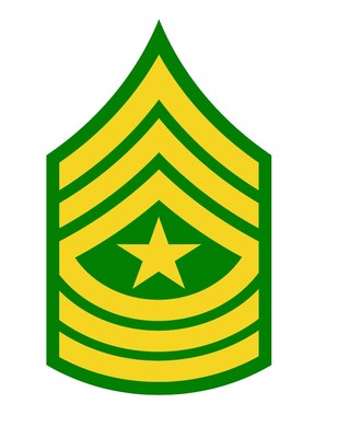 U.S. ARMY E-9 SERGEANT MAJOR RANK Car Vinyl Window Decal/Sticker | eBay