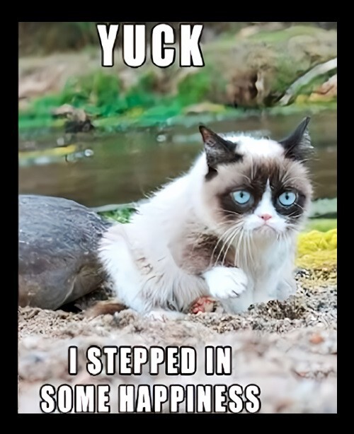 Yuck Meme Face Yuck Face: Over 108 Royalty Free Licensable Stock