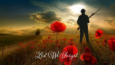Poppy Day Lest We Forget Remembrance Large Decal Vinyl Sticker ...