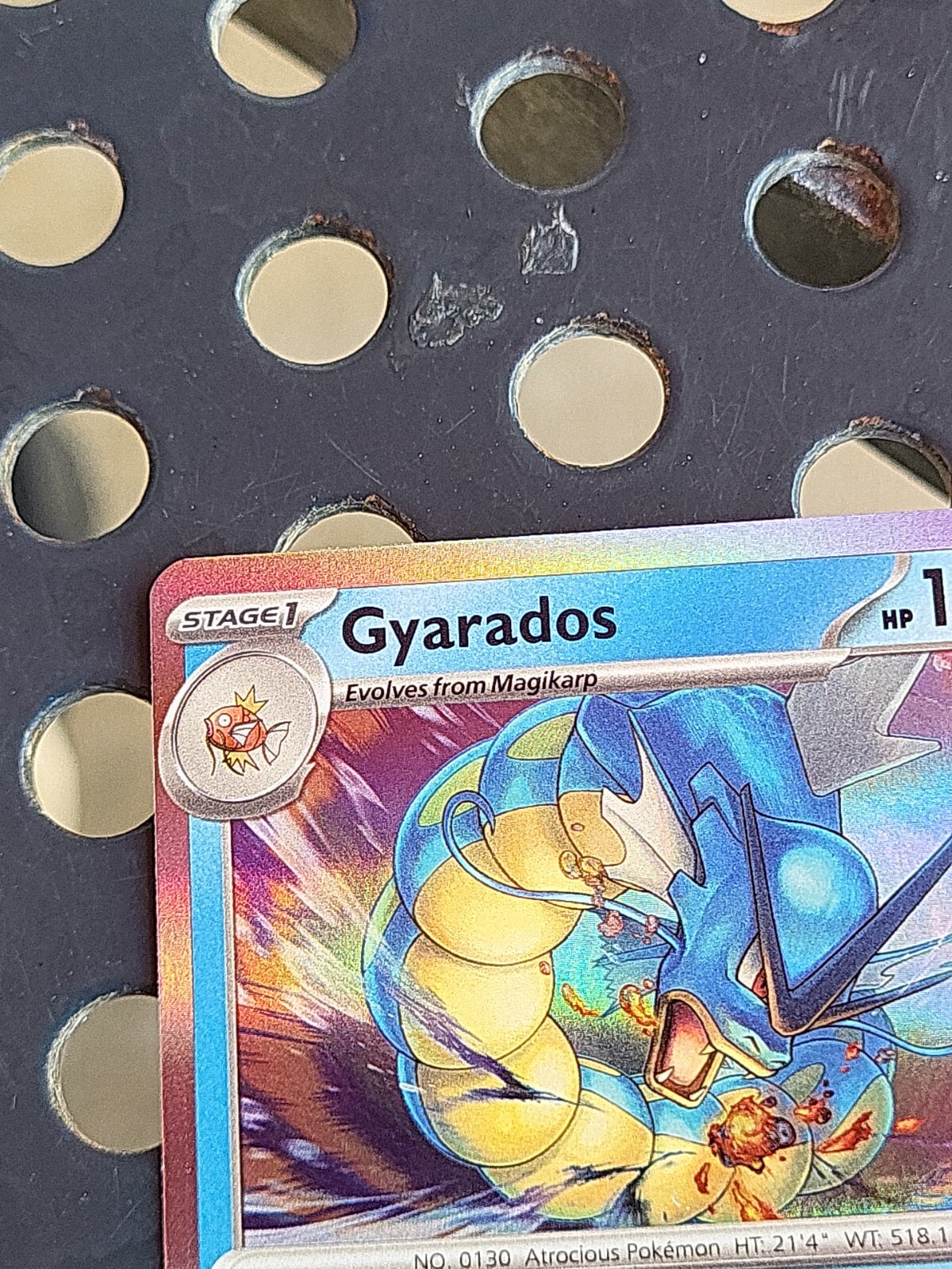 Gyarados 043/193 - Regular Holo Rare-Paldea Evolved- Pokémon- Near Mint ...