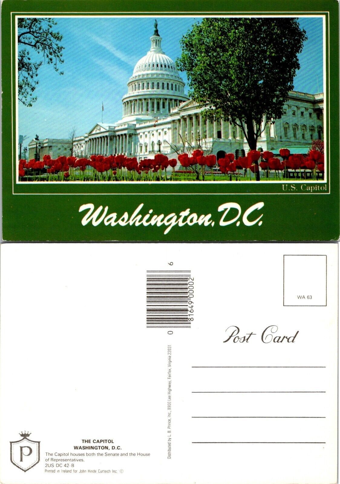 Washington D.C. United States Capitol Building Red Roses Flowers VTG ...