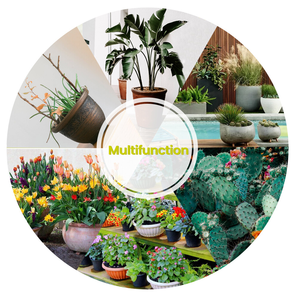 Potted Plant Caddy Dolly Mover Roller Rolling Trolley Move Heavy Pots ...