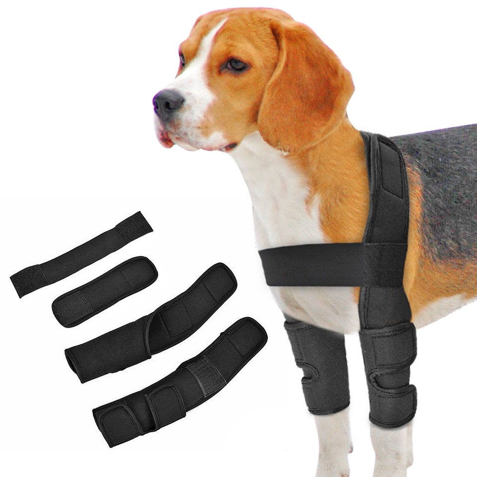 Dog Front Legs Brace Hock Wraps Bandage Help Wounds Compression Joint ...