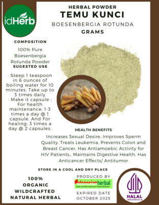FRESH POWDER TEMU KUNCI Boesenbergia Rotunda NATURAL HERBAL PREMIUM ...