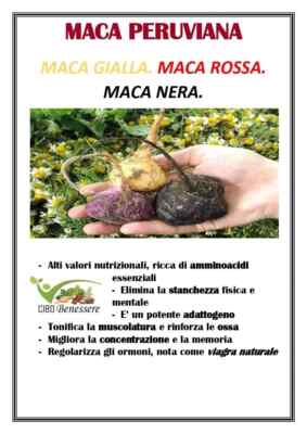 MACA ROSSA BIOLOGICA ORIGINE PERU' 100 capsule vegetali | eBay