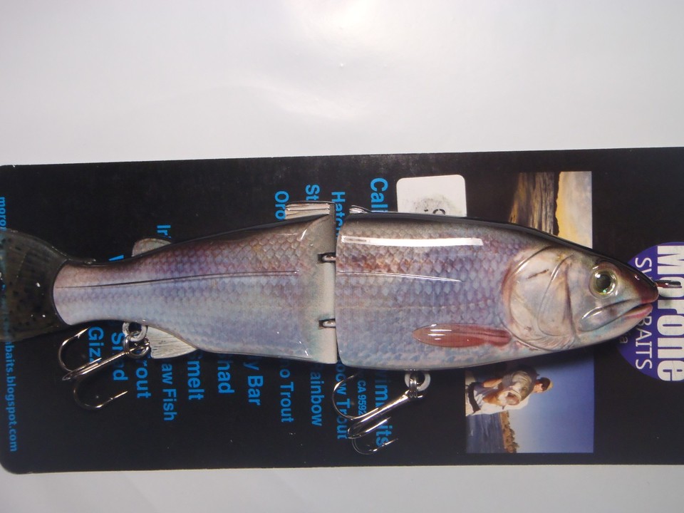 Morone Swimbaits 2 Sacramento River Splittail Striper fishing Glide ...