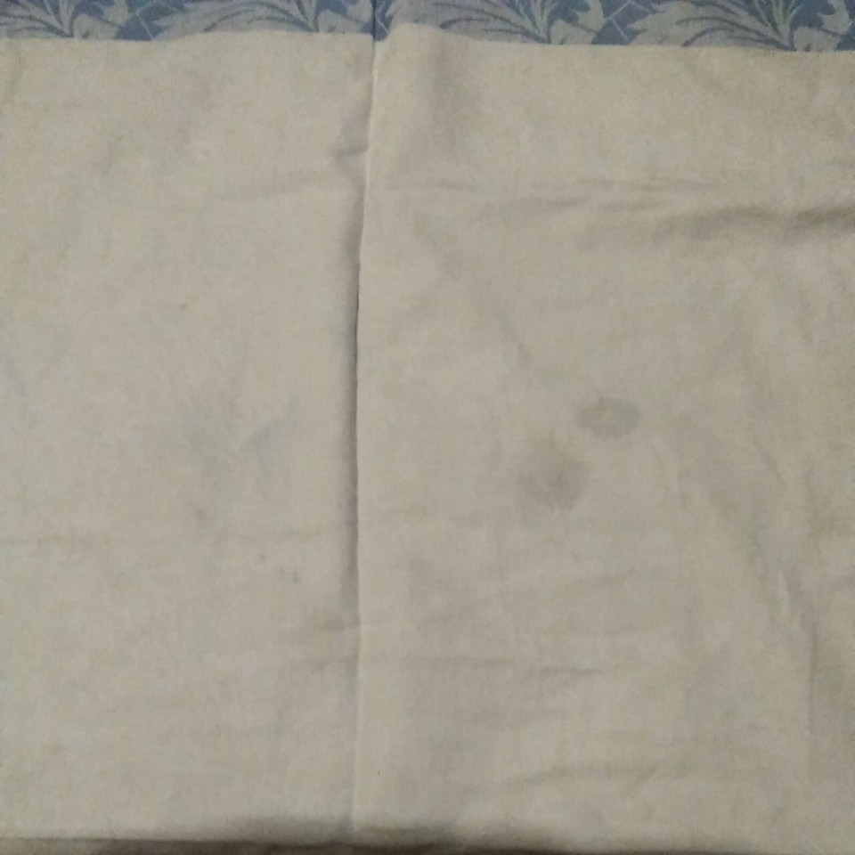 Vintage 1940's White Cotton Damask Tablecloth 49" x 51. 5" with blue ...