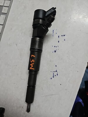 BMW FUEL INJECTOR 3.0 DIESEL M57 7787984 E53 X5 2001-2006 | eBay Australia