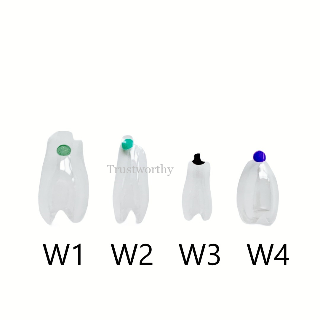 1Kit Dental Clear Matrix Diastema Matrices Wedges Similar with BioClear ...
