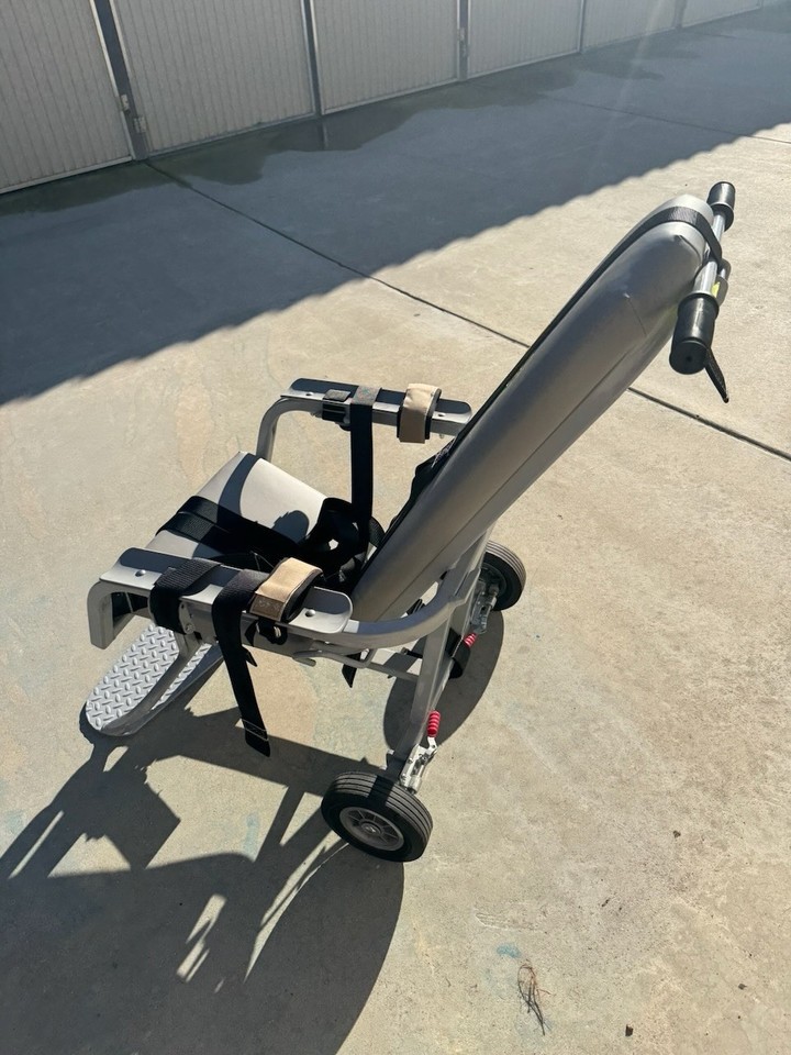 Surguard Restraint Chair Softguard ERC | eBay