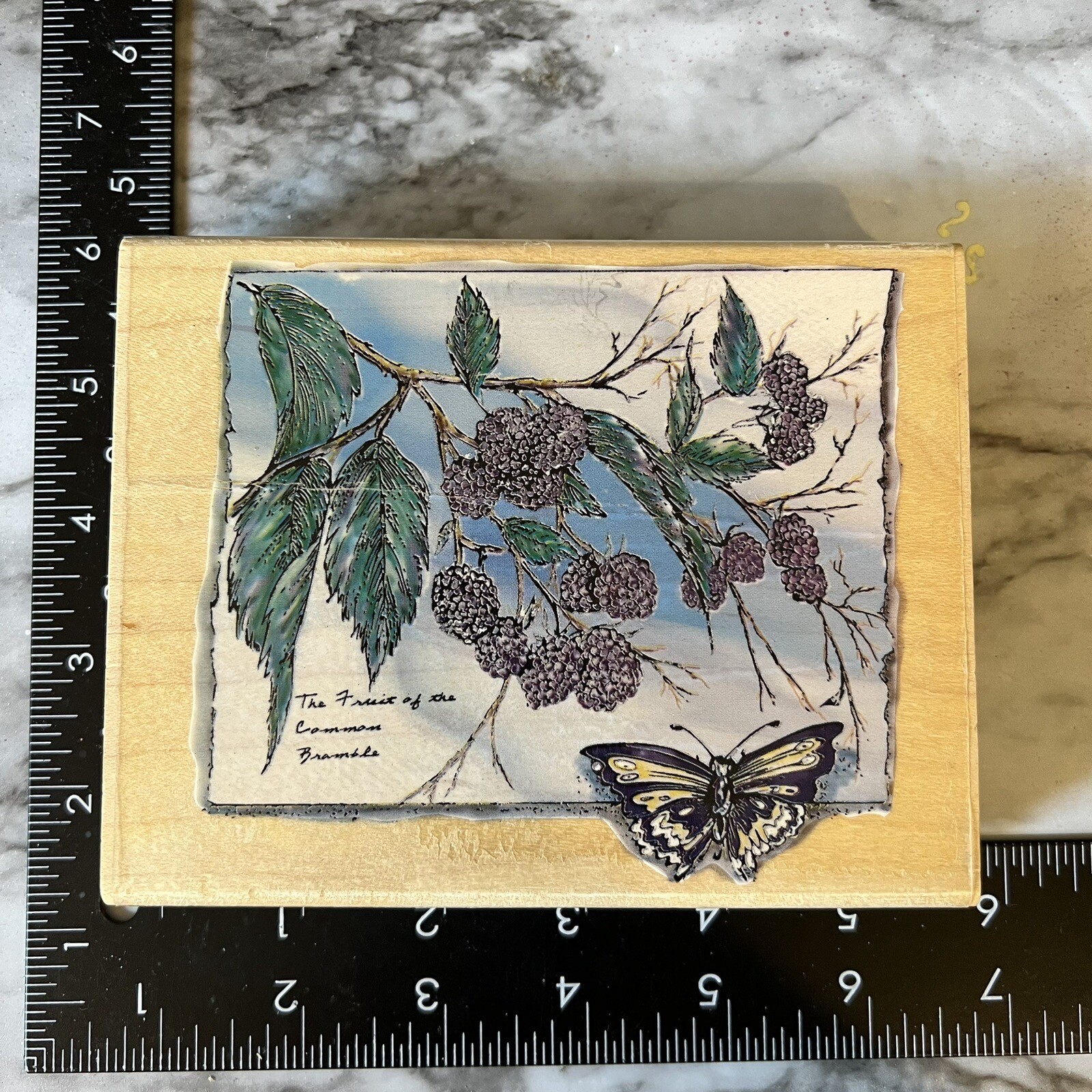 Rubber Stamp Bramble Berry Sketch STAMPABILITIES TR1006 Butterfly Fruit ...