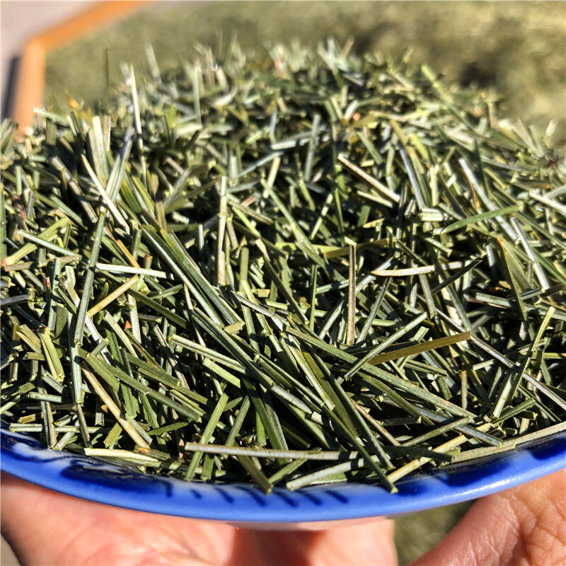Organic Dried Pine Needle Tea Premium Red Pine Needles Loose Leaf ...