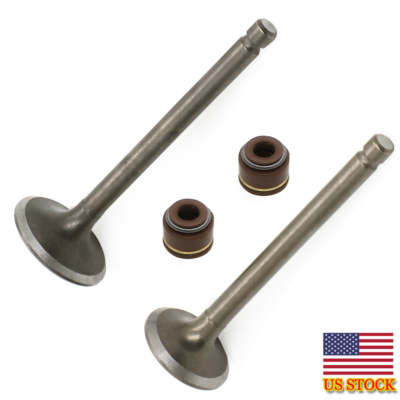FOR YAMAHA INTAKE EXHAUST VALVES W/ SEALS 1985-05 YFM80 BADGER RAPTOR ...