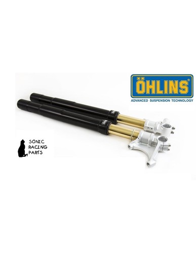 FGRT 227 BLACK FORK OHLINS R&T 43 NIX BMW R NINET 2017 2023 | eBay