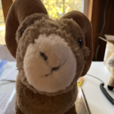 Wild Republic Big Horn Sheep Ram Goat Plush Stuffed Animal 12" | eBay