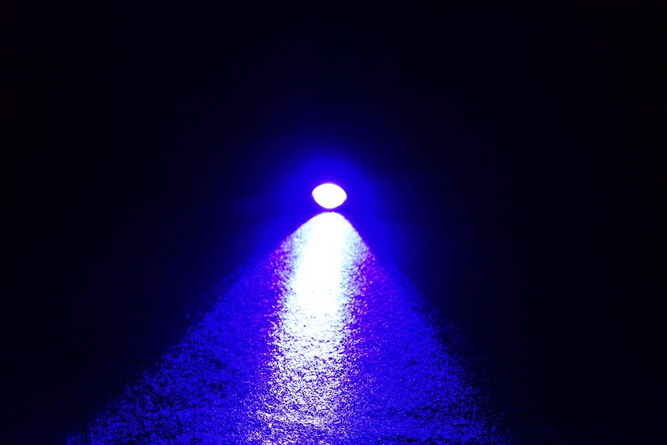 470nm Pen Type Blue Light LED Flashlight Hunting Night Vision Blue LED ...