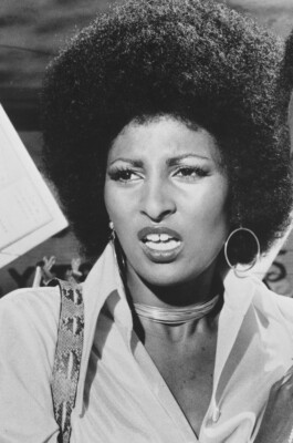 Pam Grier 24X36 Premium Quality Poster | eBay