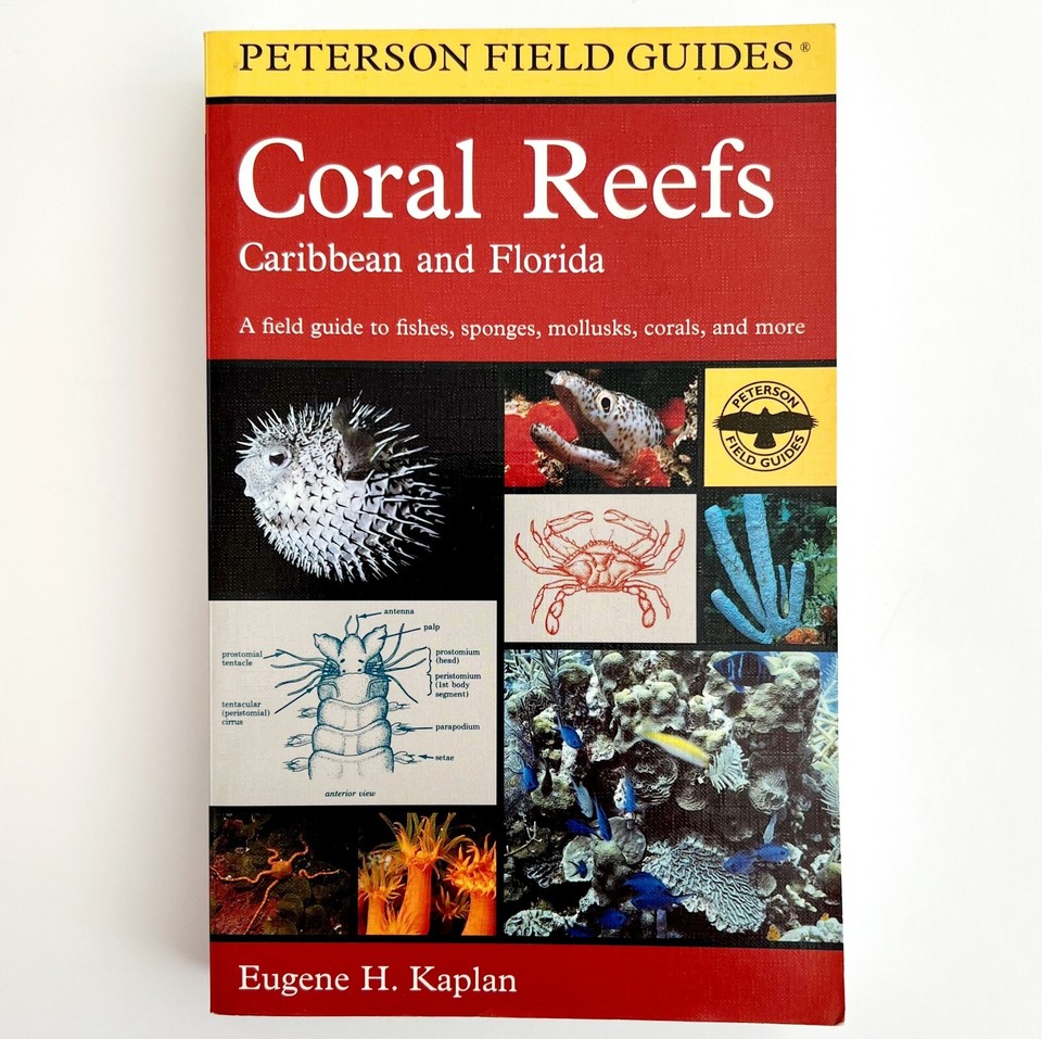 1982 Peterson Coral Reefs Field Guides Vintage Caribbean And Florida PB ...