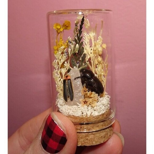 Lightning Bug Crystal & Beetle Oddity Jar Mini curiosity goth witchy ...