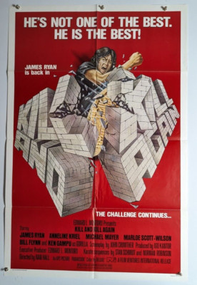 KILL and KILL AGAIN 1sh Original Kung Fu Movie Poster James Ryan ...