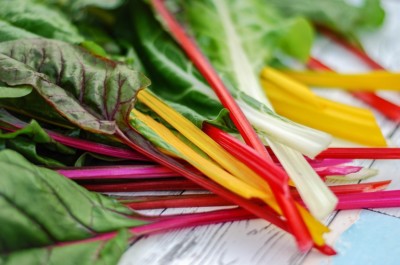 SILVERBEET Rainbow Mix 35+ seeds RAINBOW chard vegetable garden bright ...