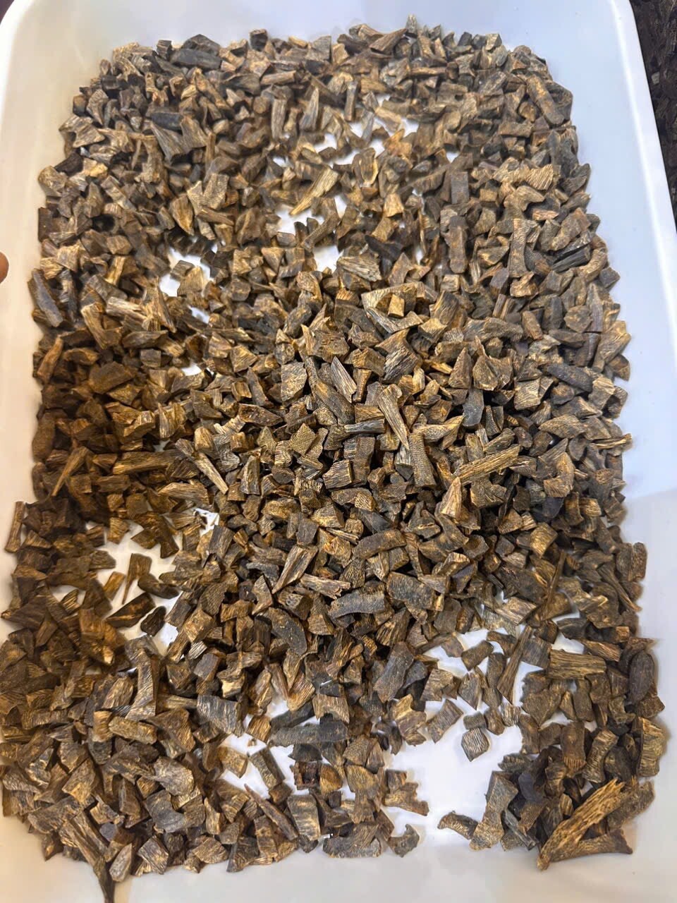 Old White Kynam Agarwood Chunks | Sinking KyNam Incense Wood | 10G ...