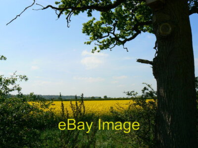 Photo 6x4 Bridleway near Hannington Swindon - a view to the south ...