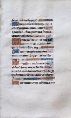 Books & Manuscripts - Vellum Manuscript