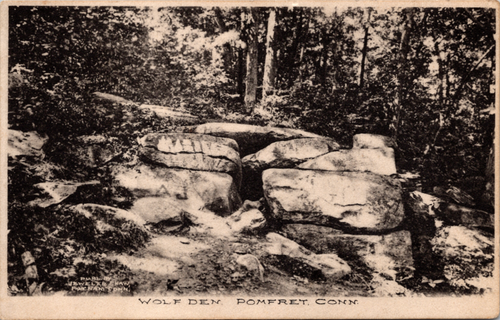 Wolf Den Pomfret Connecticut Vintage Postcard | eBay