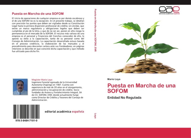 Puesta en Marcha de una SOFOM von Mario Loya (2012, Taschenbuch) online ...
