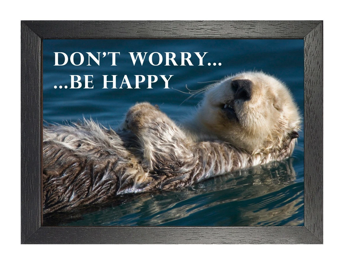 Happy Wild Animals