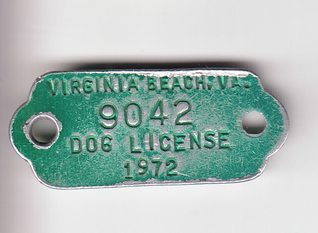 Virginia Beach Pet License: A Complete Guide for Pet Owners – Travel Tales