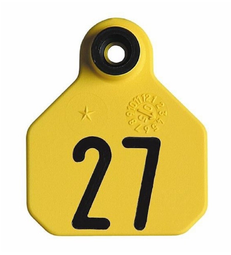 Y-TEX 6312026 Numbered 26-50 All-American 1-Star 25pk Livestock Yellow ...