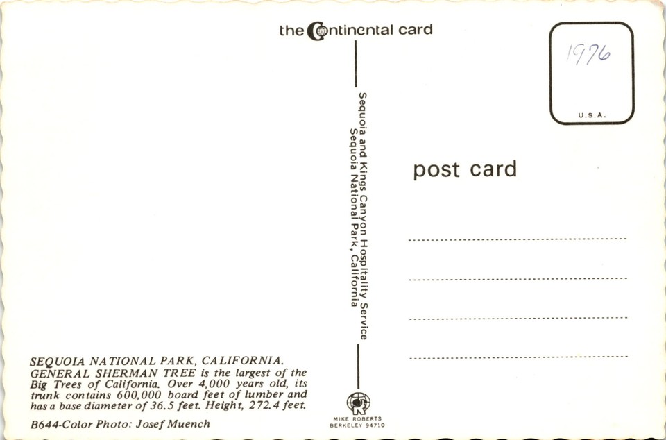 General Sherman Tree, Sequoia National Park, California, Josef Muench ...
