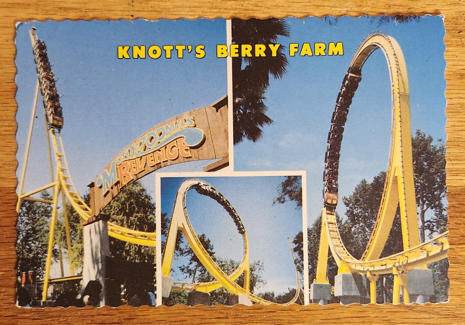 Knott's Berry Farm Montezooma's Revenge Coaster Buena Park CA Postcard ...
