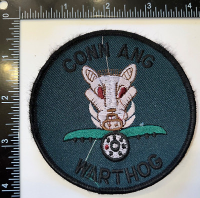 Cold War USAF US Air Force Connecticut CT National Guard ANG A-10 Warthog Patch | eBay