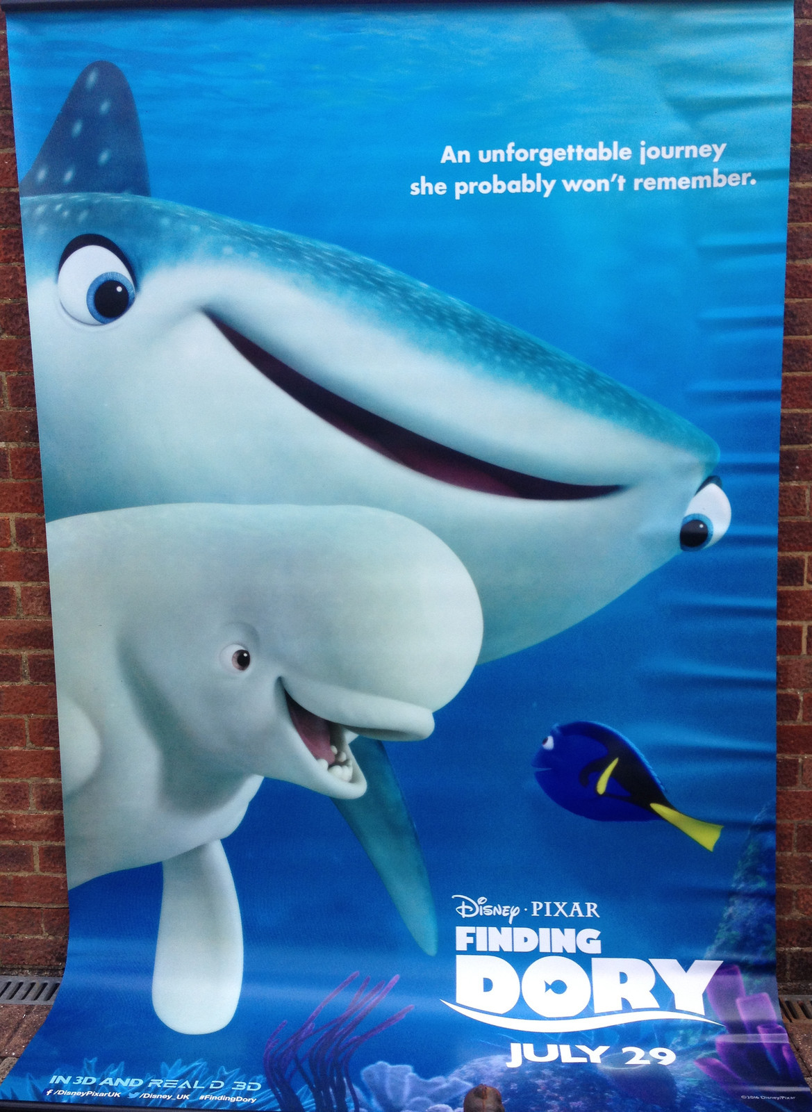 Cinema Banner: FINDING DORY 2016 (Dolphins) Ellen DeGeneres Michael ...