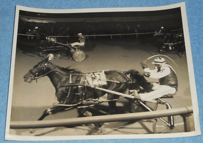 Vintage Harness Racing Press Photo Horse "Tulip Bret" Tom Harmer | eBay