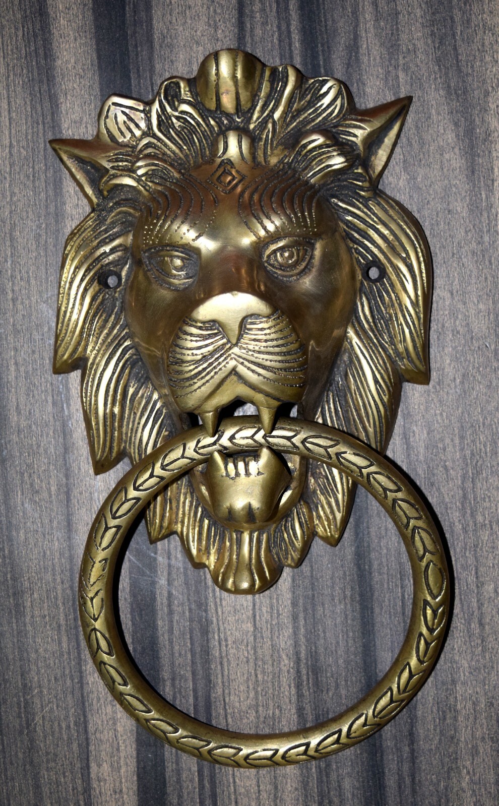 Brass Lion Face Door Knocker Wildcat Animal Handmade door Bell Anneau ...
