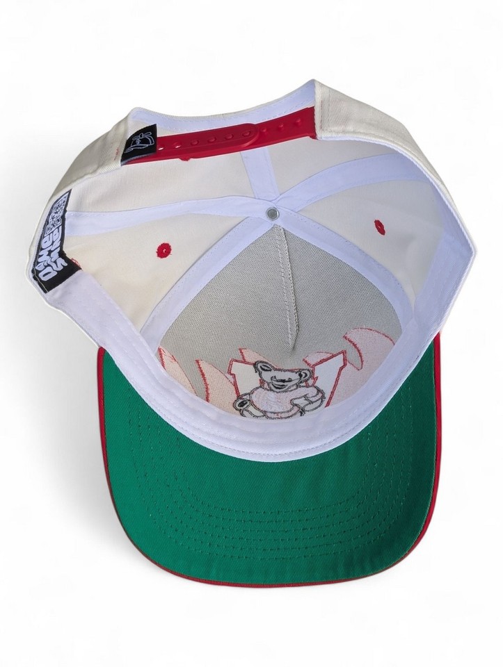 NEW University of Wisconsin Grateful Dead Bucky Bear Shark Tooth Hat ...