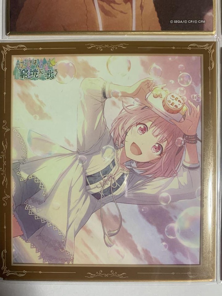 Rare Proseca Mini Colored Paper Otori Emu Bulk | eBay