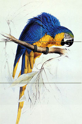 Blue Macaw parrot bird Tile Mural Kitchen Bathroom Backsplash Marble ...