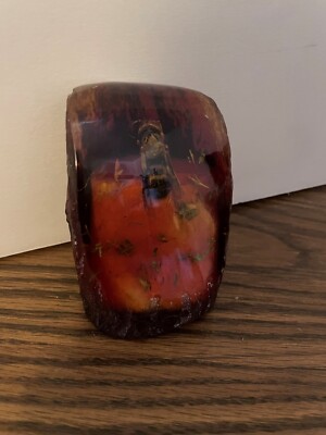 E32 - LARGE HONEYBEE IN POLISHED/ROUGH AMBER SLAB #2, Measures 3.5 ...