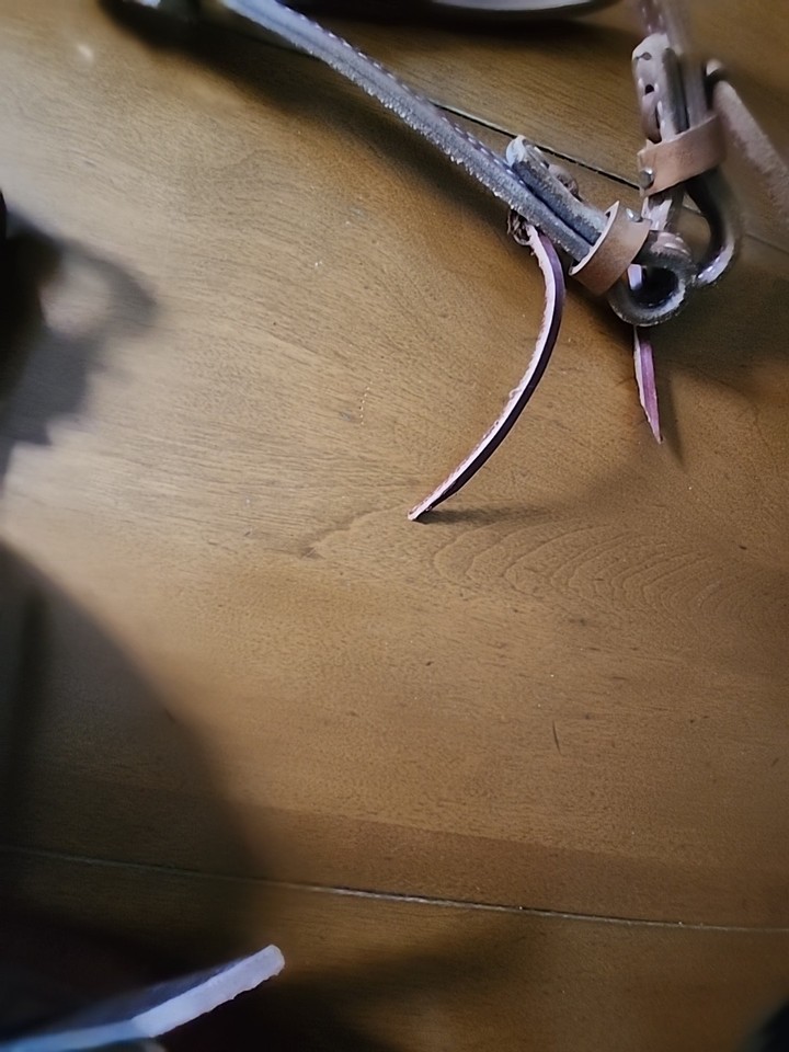 Western Headstall And Reins Small- Average Sized Horse Light Oil ...