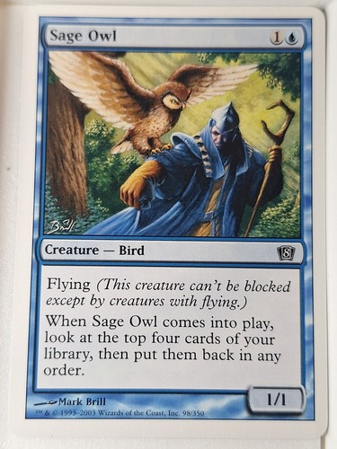 Sage Owl - 8th Edition Core Set - Magic the Gathering MTG Nice! | eBay