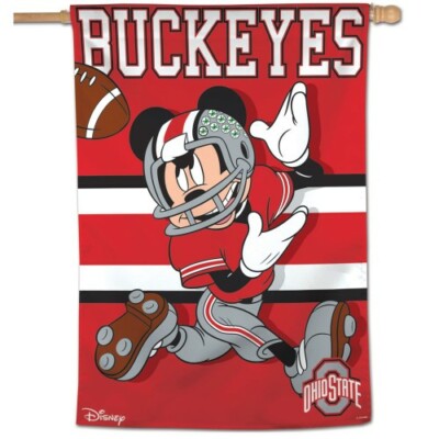 OHIO STATE BUCKEYES MICKEY MOUSE DISNEY 28"X40" HOUSE FLAG OR WALL ...