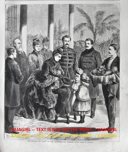 Lion Cubs Visited By Queen Victoria & Royal Family, Large 1880s Antique ...